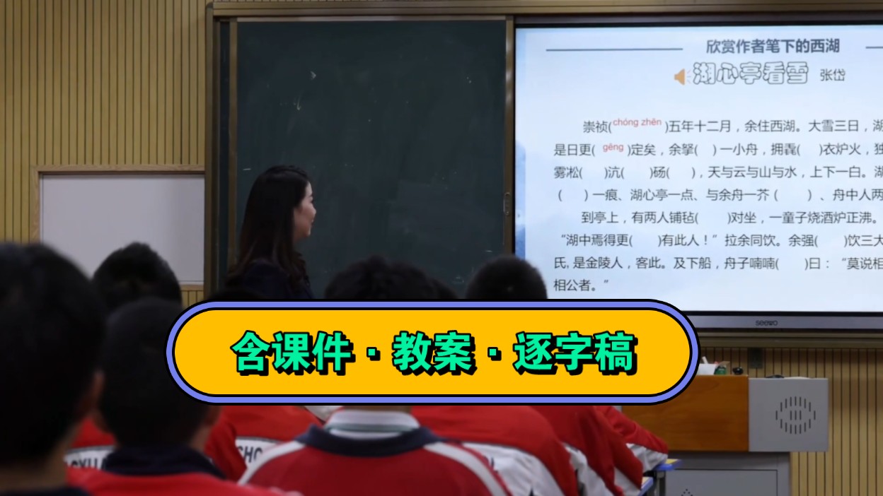 ...雪》 获奖公开课【特级教师新课标示范课】(含课件教案导学案逐字稿)