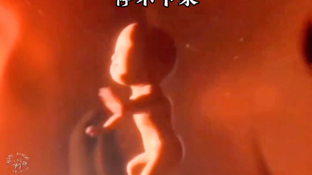 到了孕晚期,根本就不用睡觉了