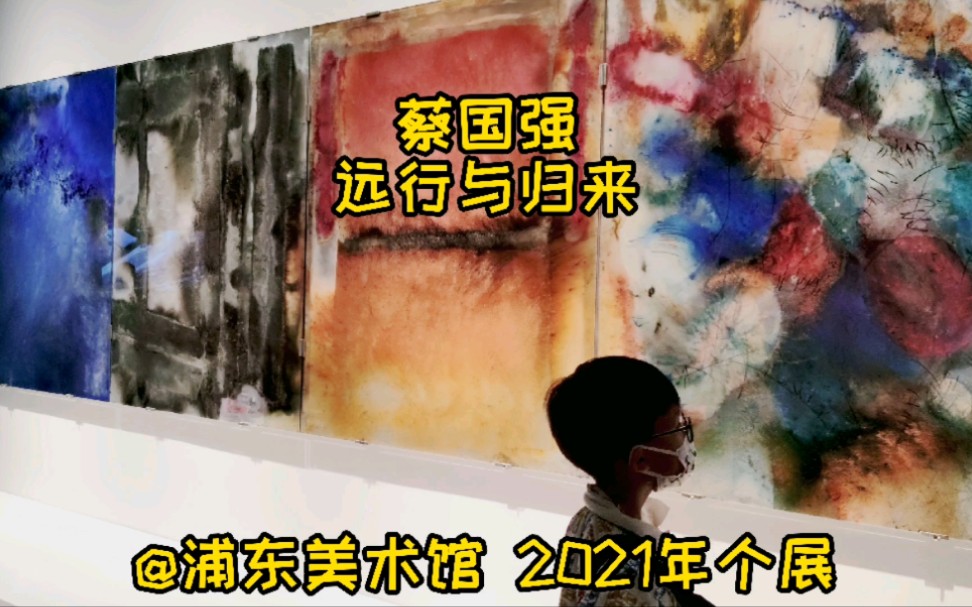 浦东美术馆开馆首展之一中国当代艺术家蔡国强|艺术展看展VLOG,如何...