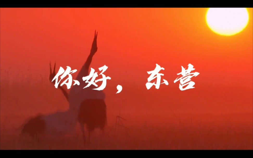 《你好,东营》—东营城市旅游宣传片