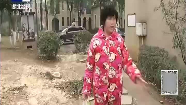小区树木被砍伐 居民不满紧急喊停