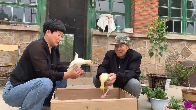 赶集花70元买了5只啥毛茸茸的,太可爱了,你觉得值吗
