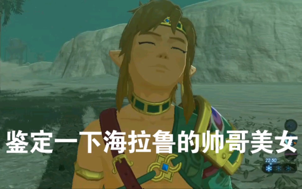 塞尔达传说之海拉鲁帅哥美女鉴定_单机游戏热门视频
