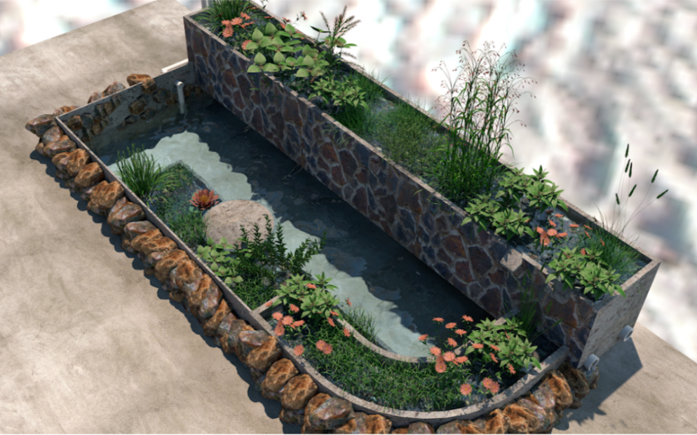 【生活vlog】鱼龟混养沼泽过滤池,这样搞可以吗,没问题有时间抽空...