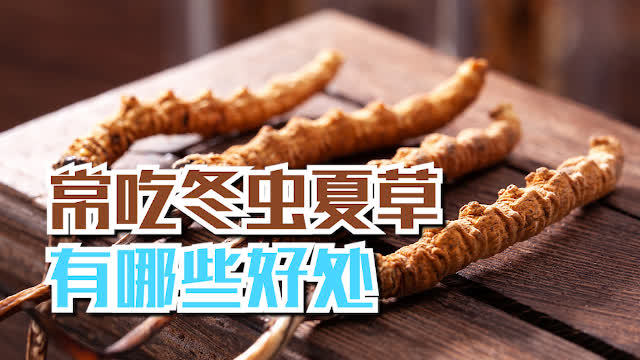 冬虫夏草到底是什么?常吃对身体有哪些好处?这里告诉你