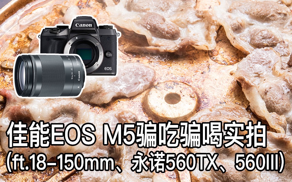 【阿布垃机手册】佳能EOS M5骗吃骗喝实拍(ft.18-150mm、永诺560...