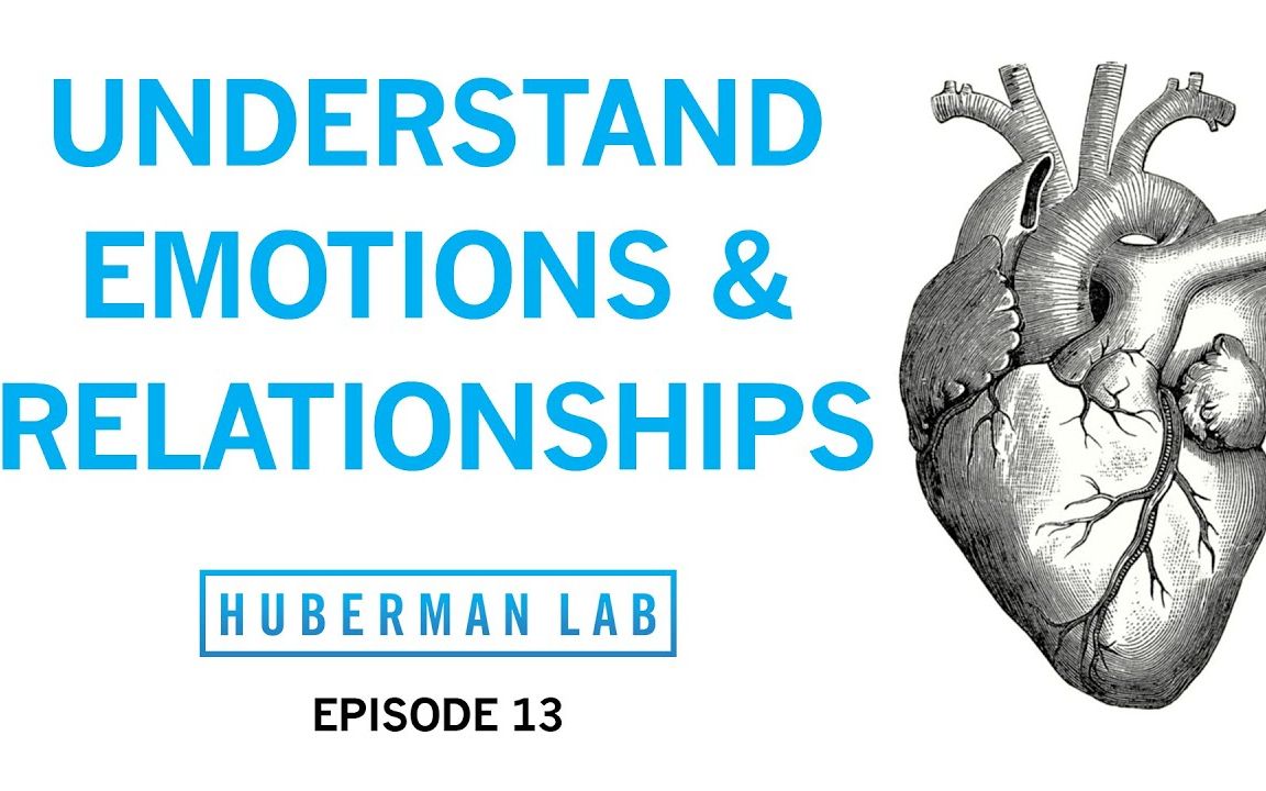 关于情绪与情感关系的科学【Huberman Lab Ep. 13】