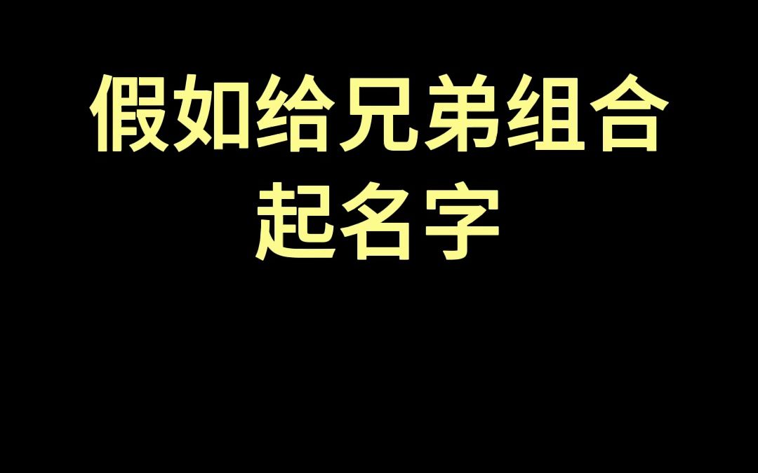 假如给兄弟组合起名字