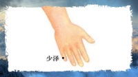 少泽准确位置图和作用 少泽的功效与作用
