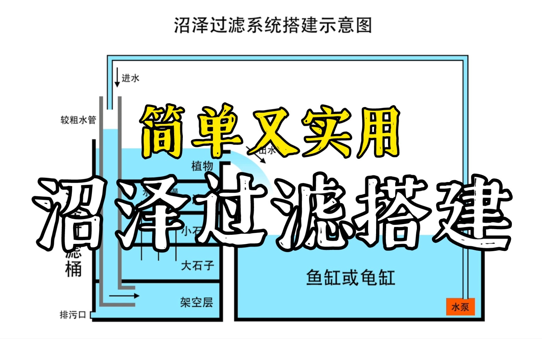 过滤篇【四】:最简单最实用的沼泽过滤搭建教程,只需水泵和两根水管,...
