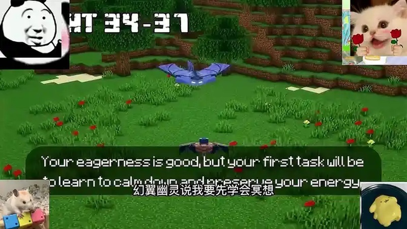 一口气看完我的世界,变成幻翼在MC中生存00天!