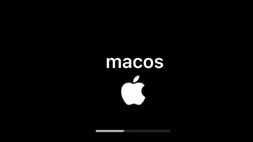 安装黑苹果时cpu被禁用解决方法