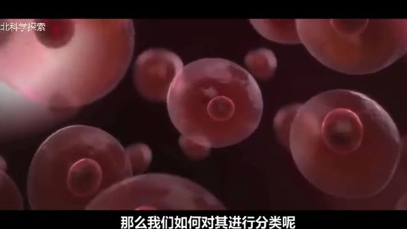 科普: 人体中的干细胞有哪些类型呢? 一分钟让你了解干细胞的分类