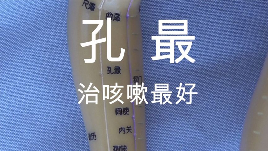 孔最 功能及主治:咳嗽,热病汗不出,慢性支气管炎,小儿哮喘