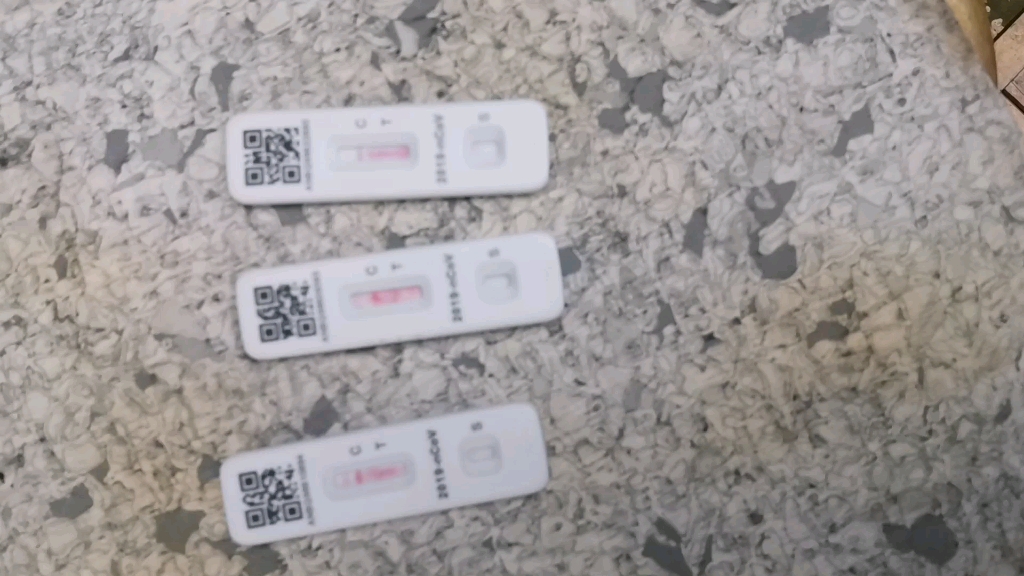 抗原试剂盒的结构