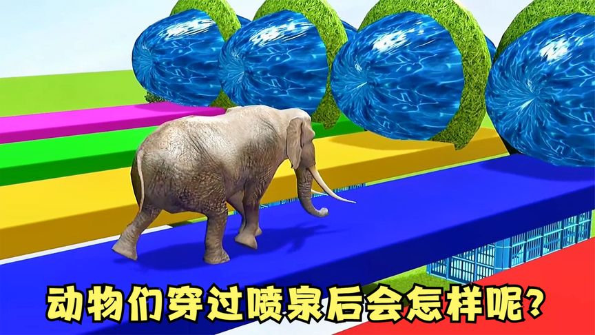 儿童益智动画:这里有5个神奇的喷泉,动物们穿过喷泉后会怎样呢