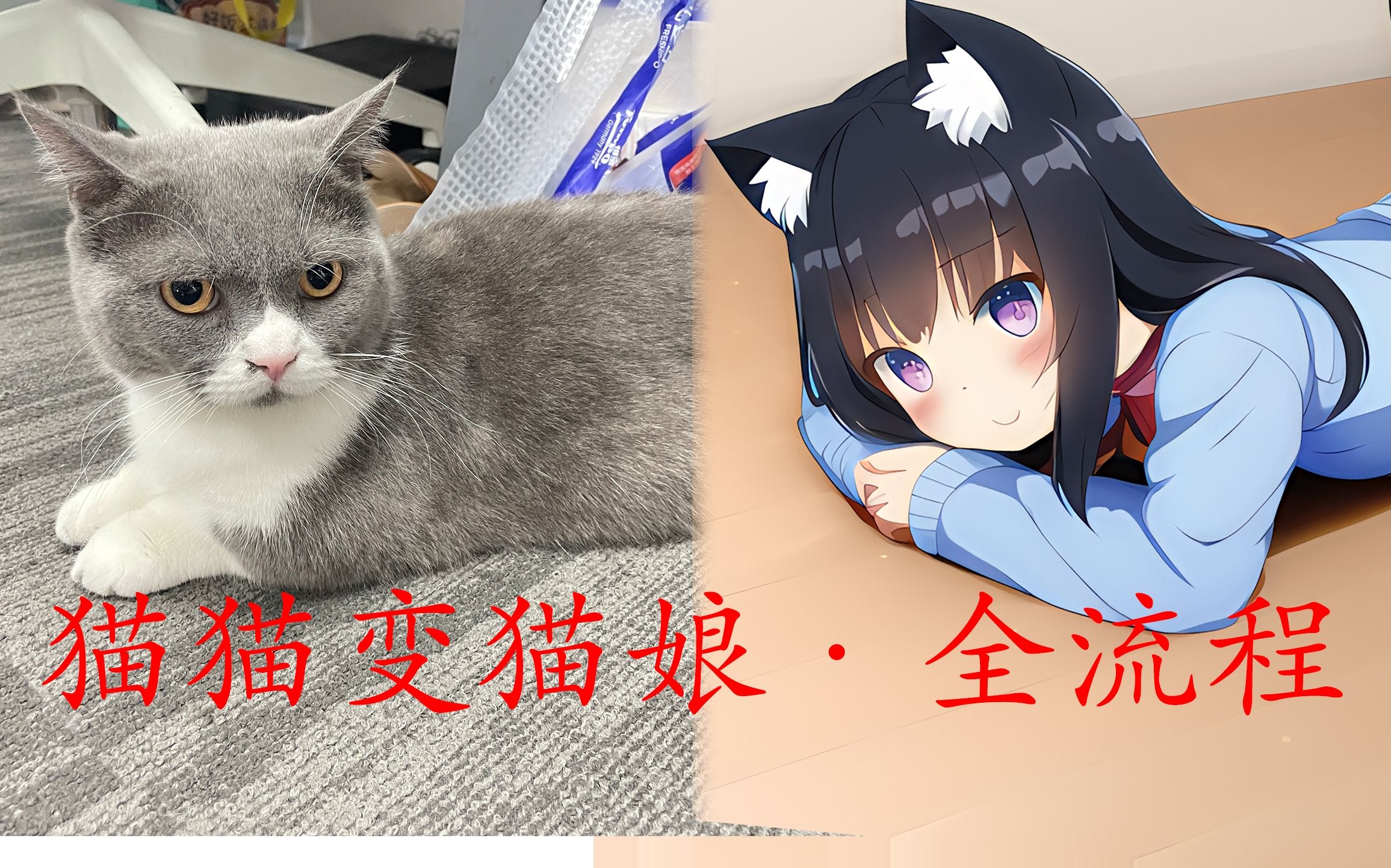 给我变!利用AI将猫猫变猫娘,全流程示范