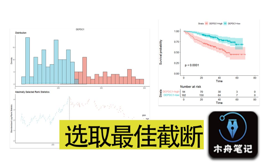 R 生存分析系列 | 2.选取生存分析的最佳cutoff(截断)