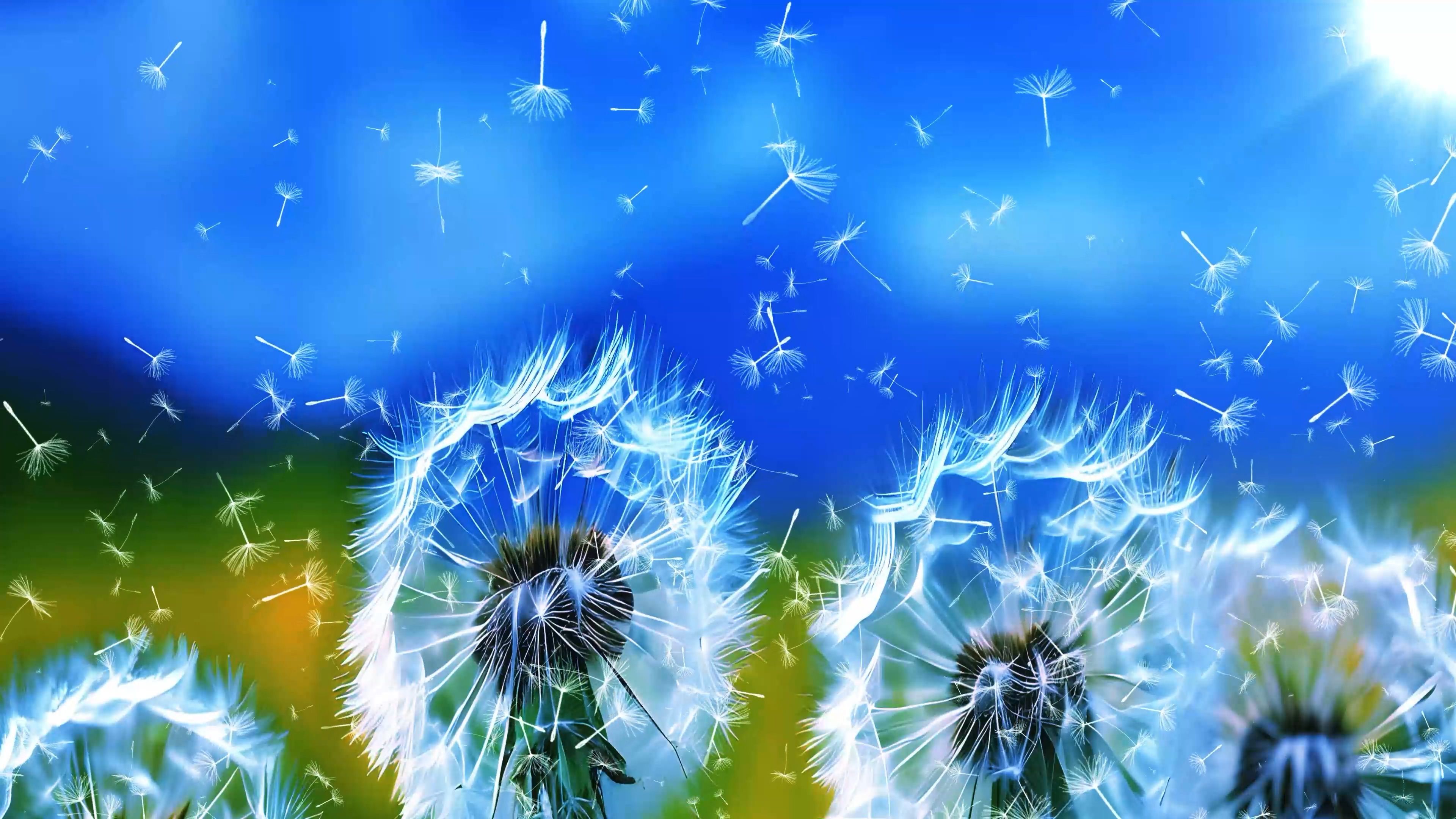 歌曲甜甜的配乐4k背景led视频