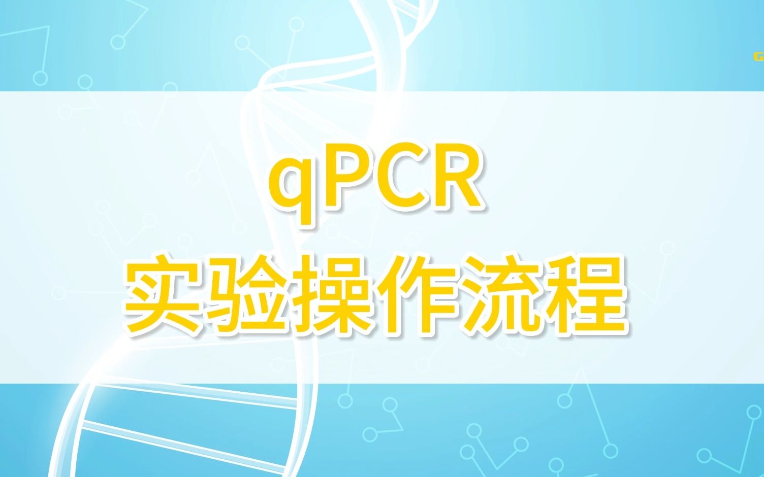 qPCR实验操作流程来啦,小金带你轻松拿捏荧光定量!