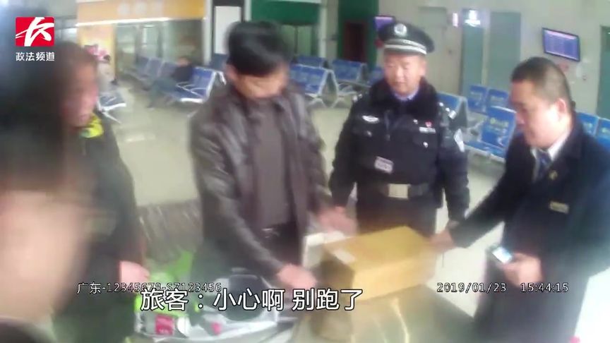 这些“年货”不能带!老两口带豚鼠坐高铁被拦:送孙子的新年礼物