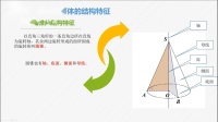 第四节 空间几何体的结构特征