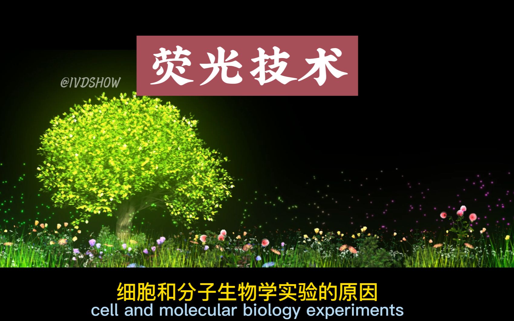 什么是荧光技术?它是如何在细胞和分子生物学实验中发挥作用的?