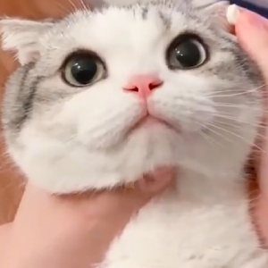 我是大玩家啊啊啊 