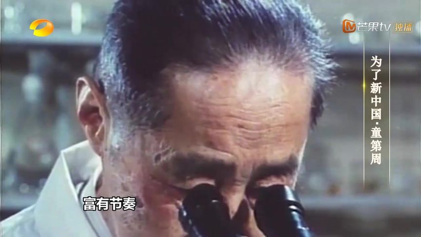 新闻当事人:珍贵视频!这场细胞核移植手术,正是出自童第周之手