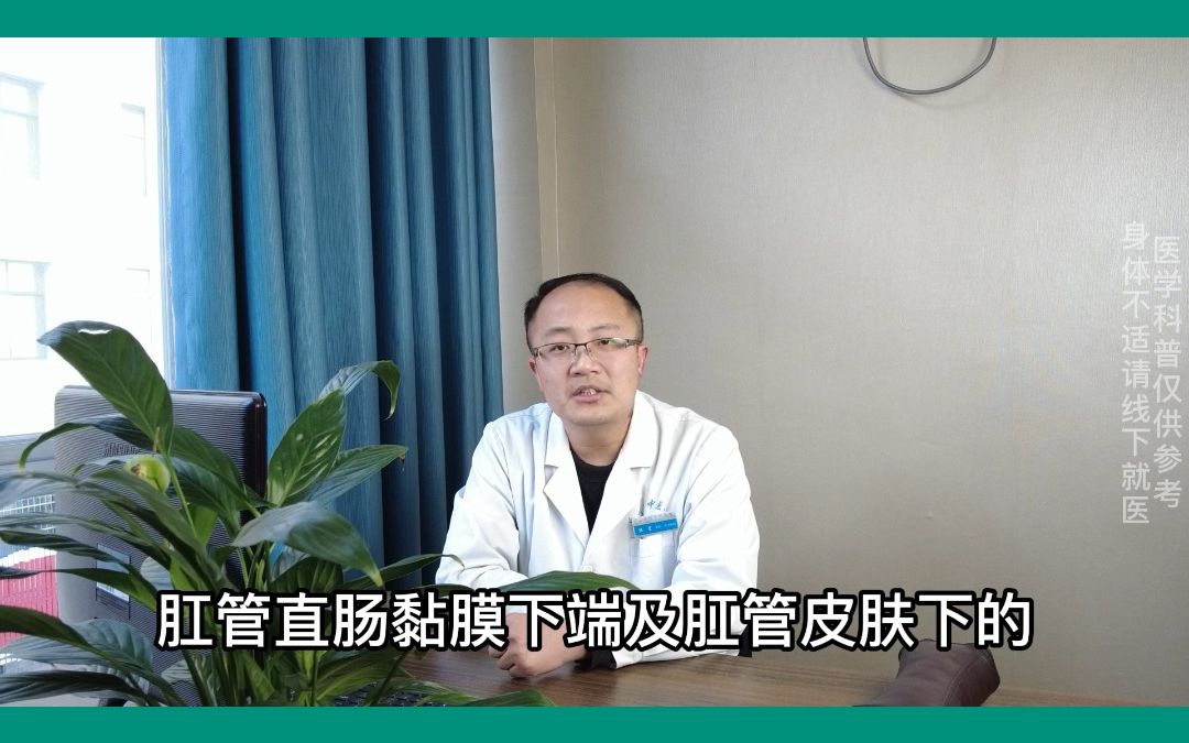 一剂槐角丸,疏风凉血、泻热润燥,横扫内痔、外痔、混合痔