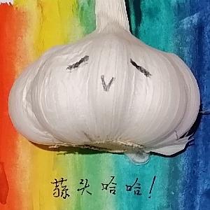 蒜头哈哈 
