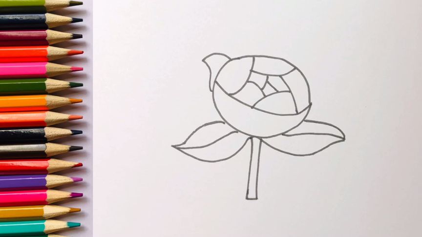 儿童美术绘画基础教程,花㚏系列简笔画,简单一看就会