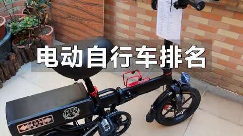 2024电动自行车十大品牌实测排名:谁才是性价比之王?