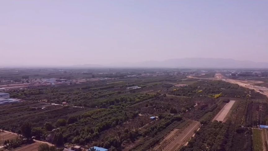 东岳苗木宣传出品