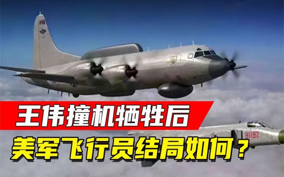 2001年,王伟在南海撞机事件牺牲后,那个美军飞行员结局如何