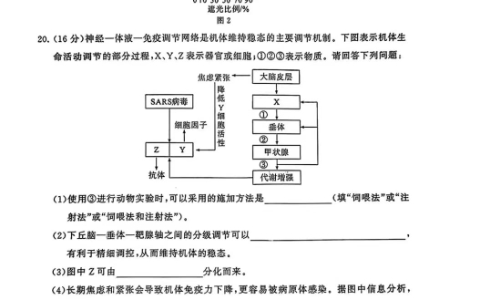 2024届湖北高三T8第二次联考生物试题