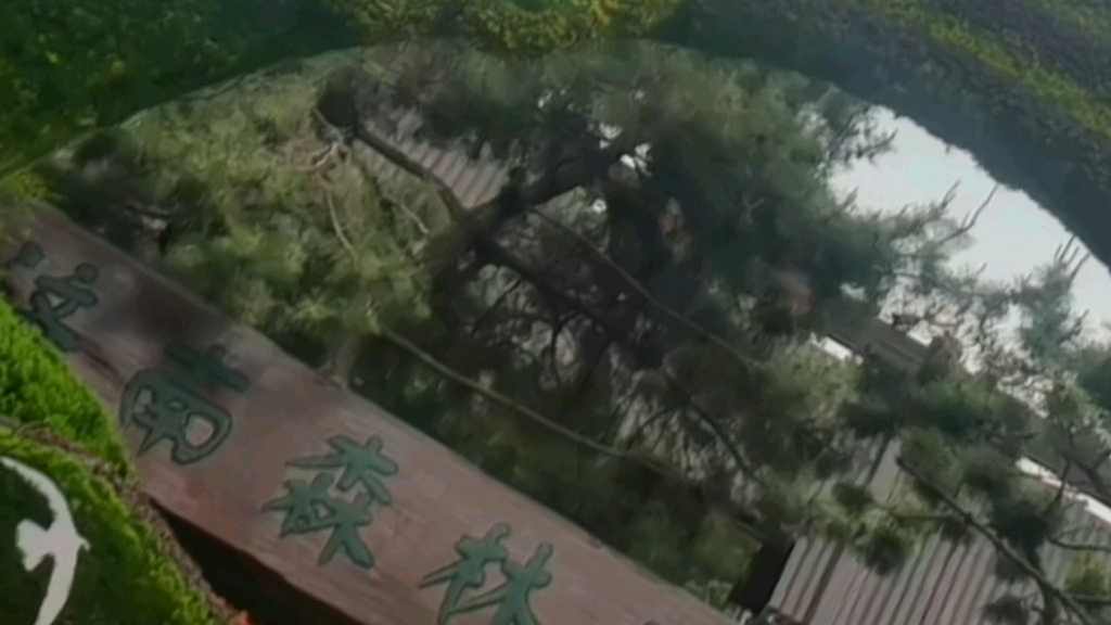 济南森林公园掠影,济南市区的森林,人气杠杠滴!