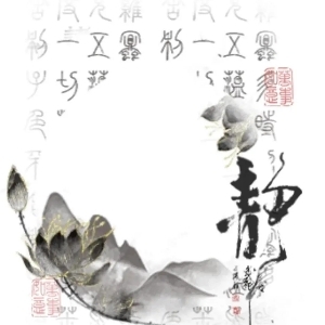 空竹zz 