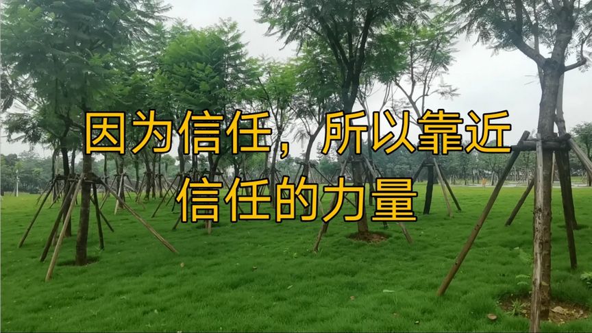 因为信任,所以靠近!信任的力量(深度好文)