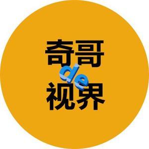 奇哥的视界