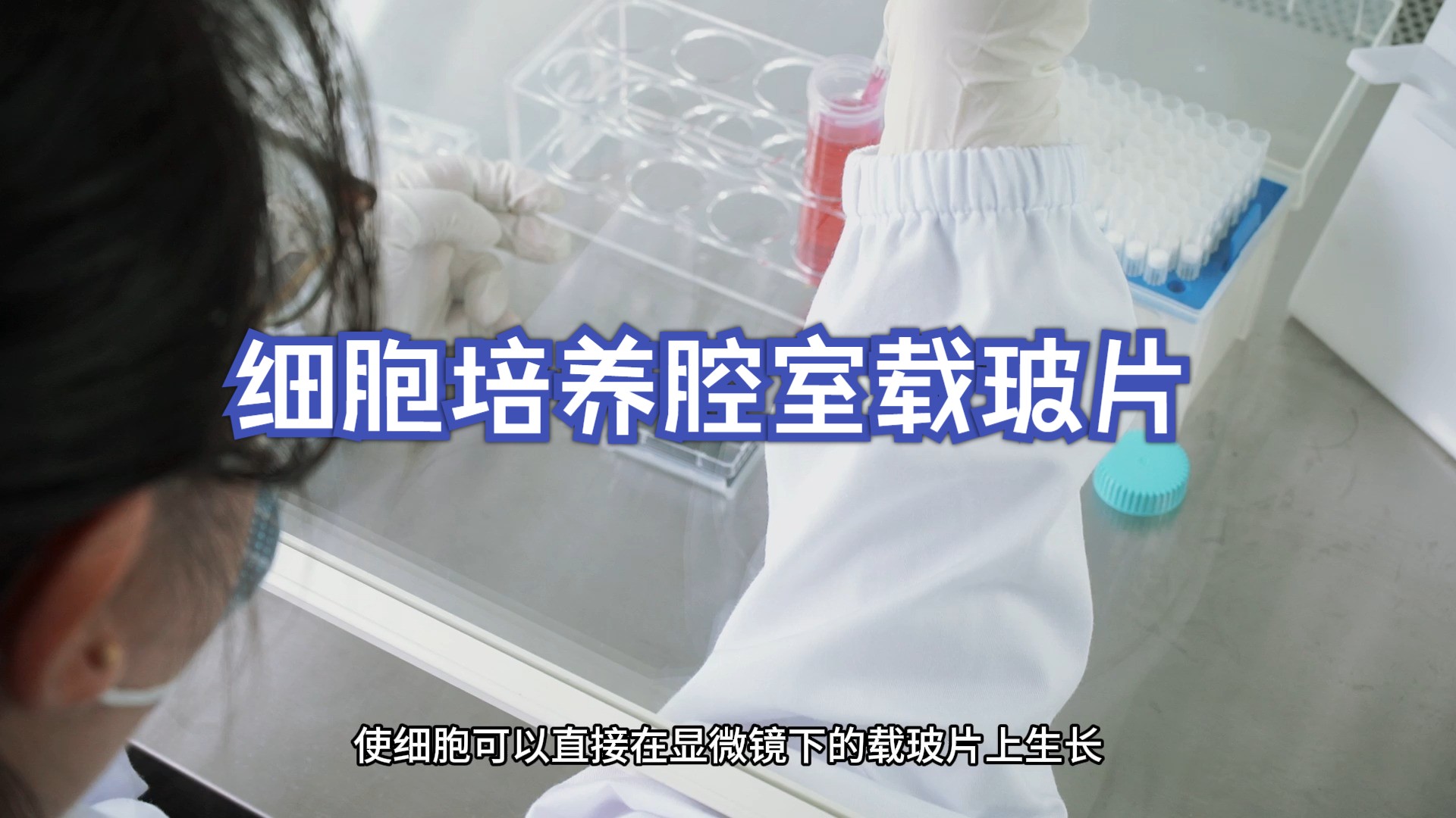 细胞培养腔室载玻片