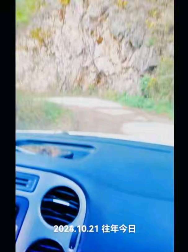 金秋十月 师法自然的最佳时节#原创视频 #户外 #户外写生 #宣传正...