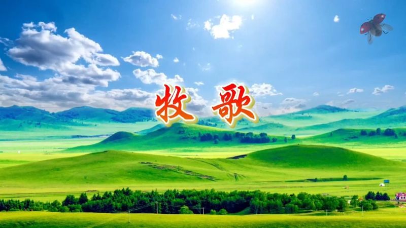 牧歌歌曲舞蹈内蒙古大草原民族牧歌舞台演出表演节目晚会大屏幕高清...