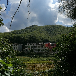 岳沙 