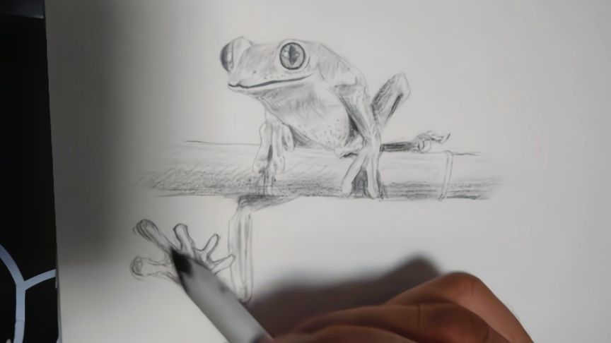 动物素描入门技巧,2分钟教你画竹竿上的青蛙,简单又逼真