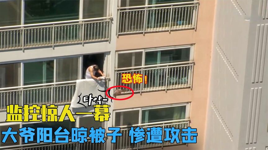 监控下的恐怖一幕,大爷正在阳台晾被褥,却被突如其来的生物袭击