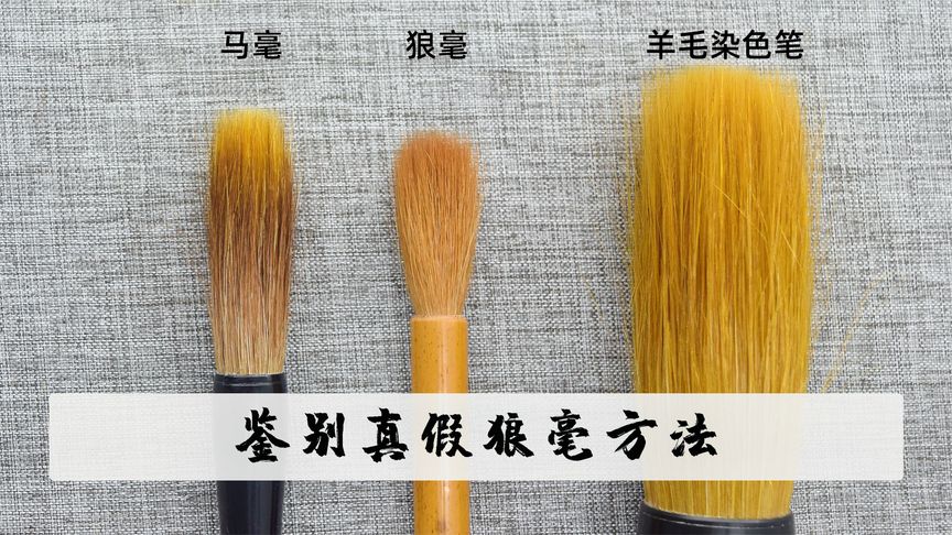 用了十几年毛笔,你掌握了如何鉴别狼毫毛笔吗?全面分析狼毫毛笔