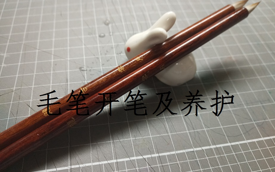 【云弦 新手入门】毛笔的开笔及养护!全程废话多!