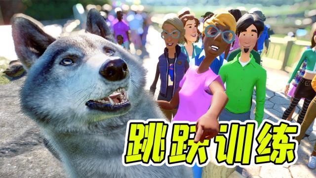 公狒狒解说