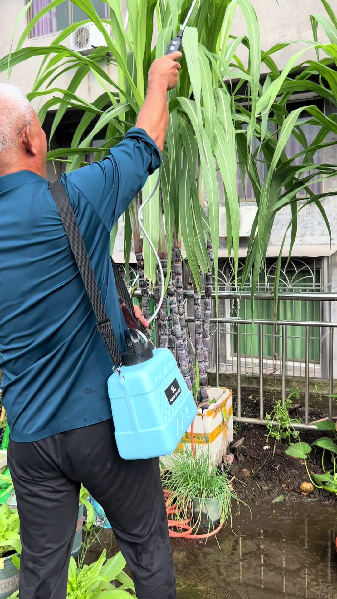 电动喷雾器,电力持久加长杆设计,更安全。